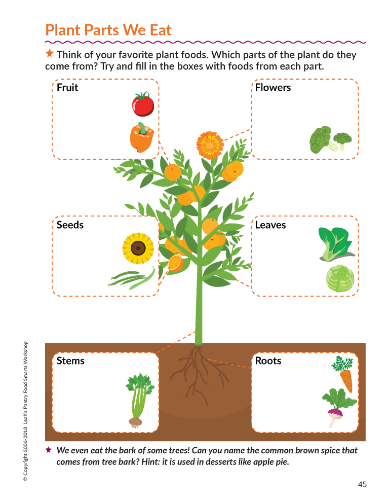 Food Smarts Kids Workbook – Leah's Pantry